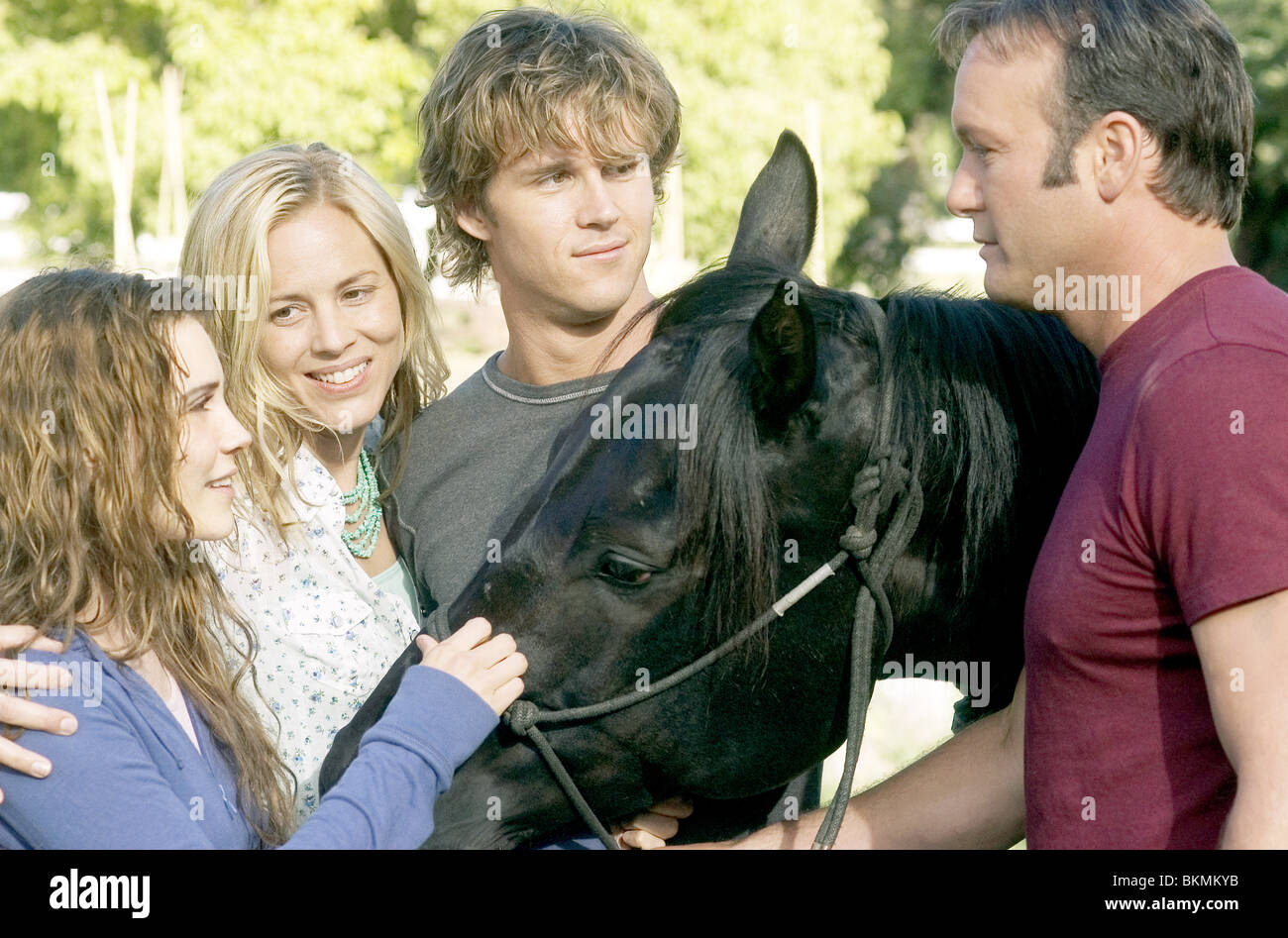 FLICKA (2006) ALISON LOHMAN, MARIA BELLO, RYAN KWANTEN, TIM MCGRAW FLCK ...