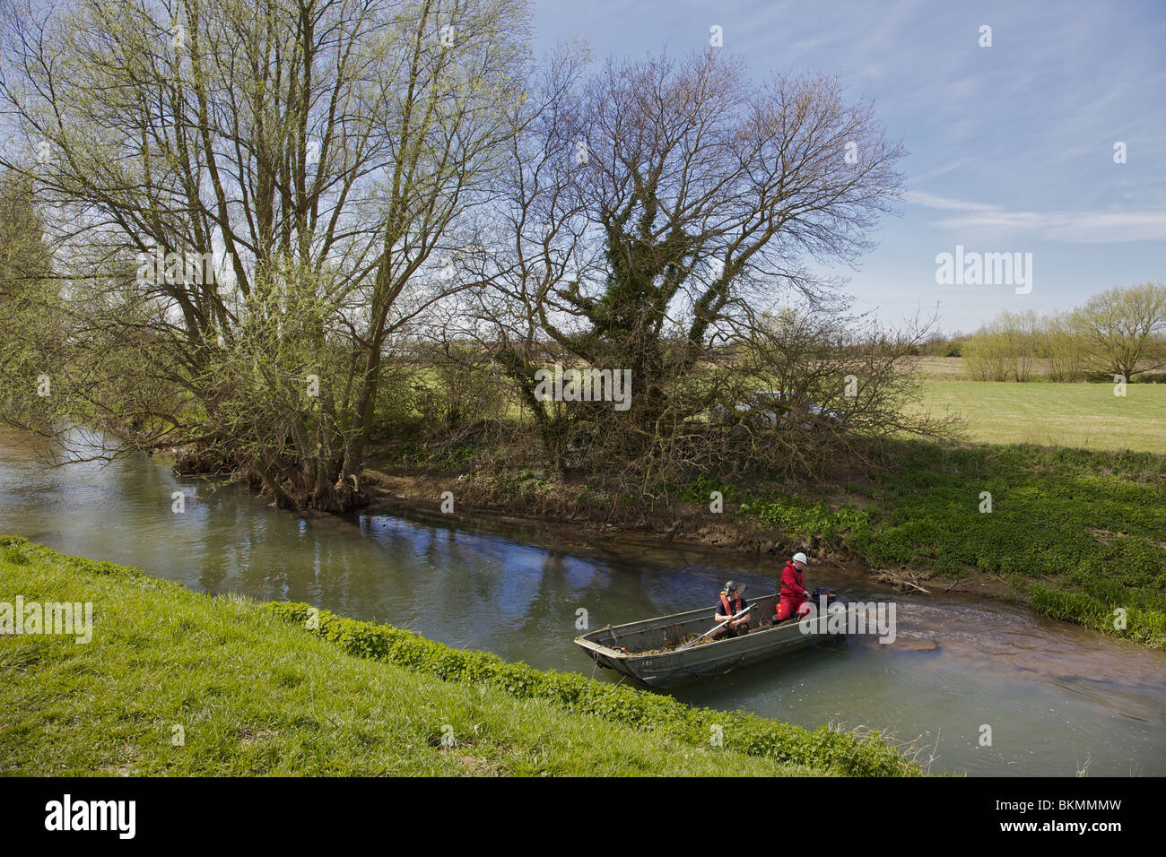 The River Ivel being cleared of rubbish, Bedfordshire, England Stock ...