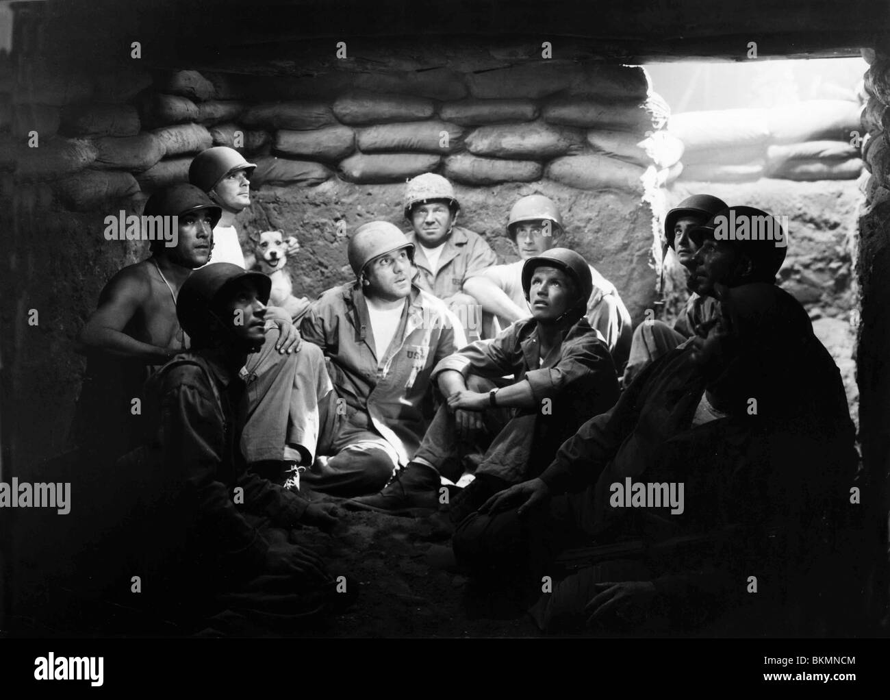 Guadalcanal diary 1943 richael conte hi-res stock photography and ...