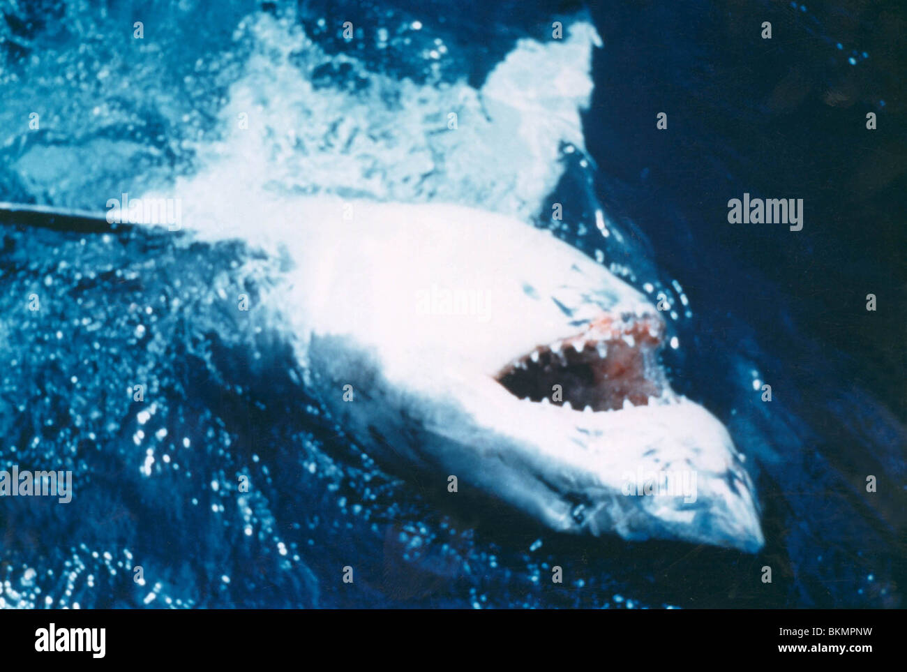 Jaws movie hi-res stock photography and images - Alamy