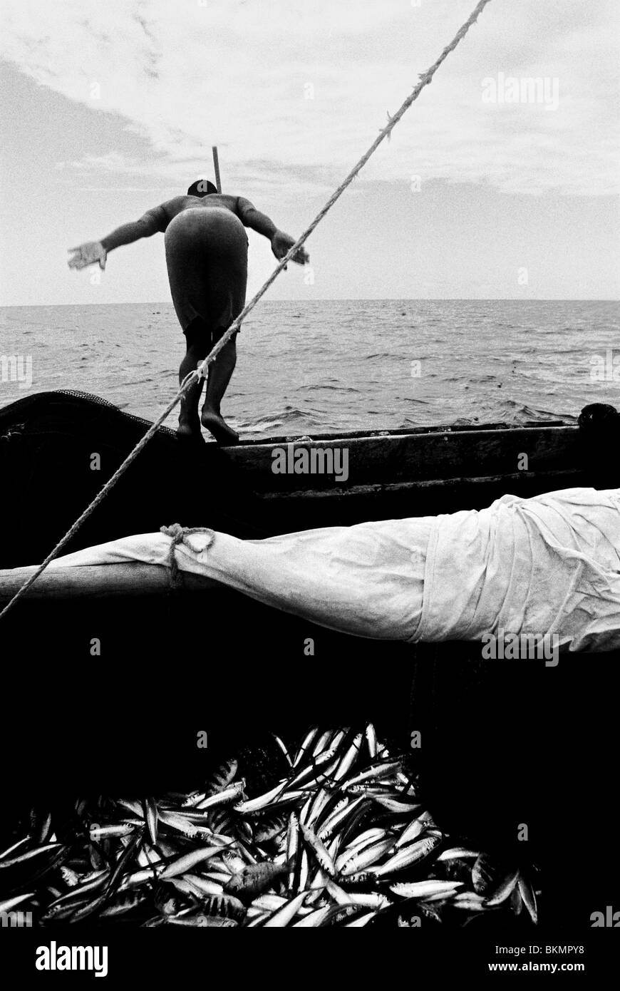 Retrieve fish hi-res stock photography and images - Alamy