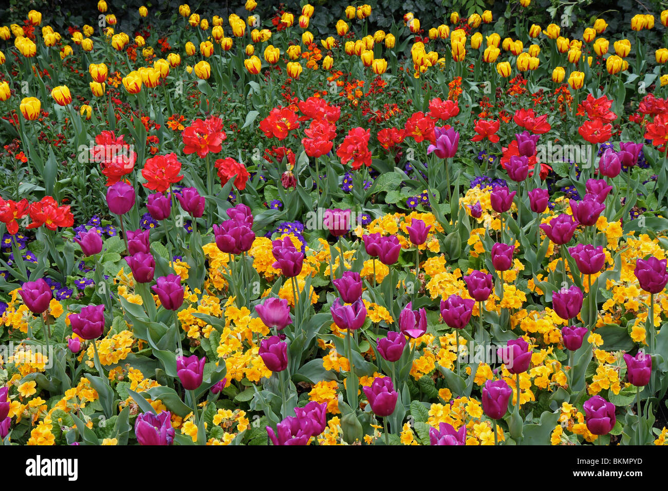 Spring flowers london park hi-res stock photography and images - Alamy