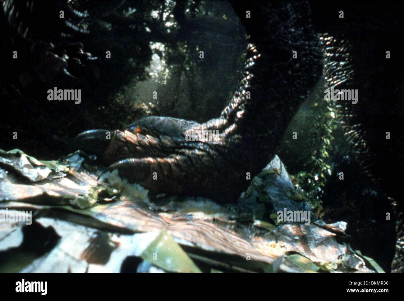 JURASSIC PARK III (2001) JURASSIC PARK 3 (ALT) JP3 065 Stock Photo ...