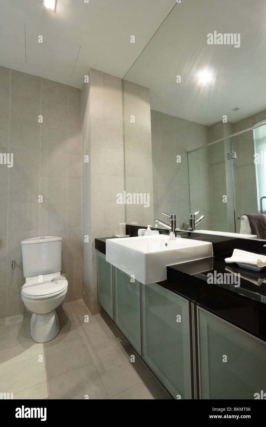 Interior view of a modern bathroom Stock Photo - Alamy