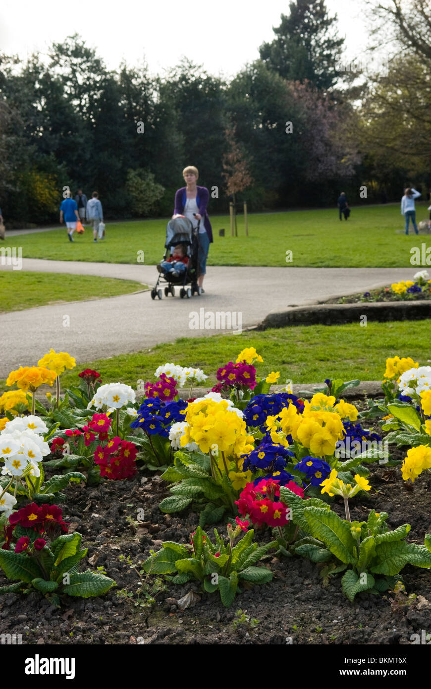 Endcliffe Park, Sheffield, South Yorkshire Stock Photo - Alamy
