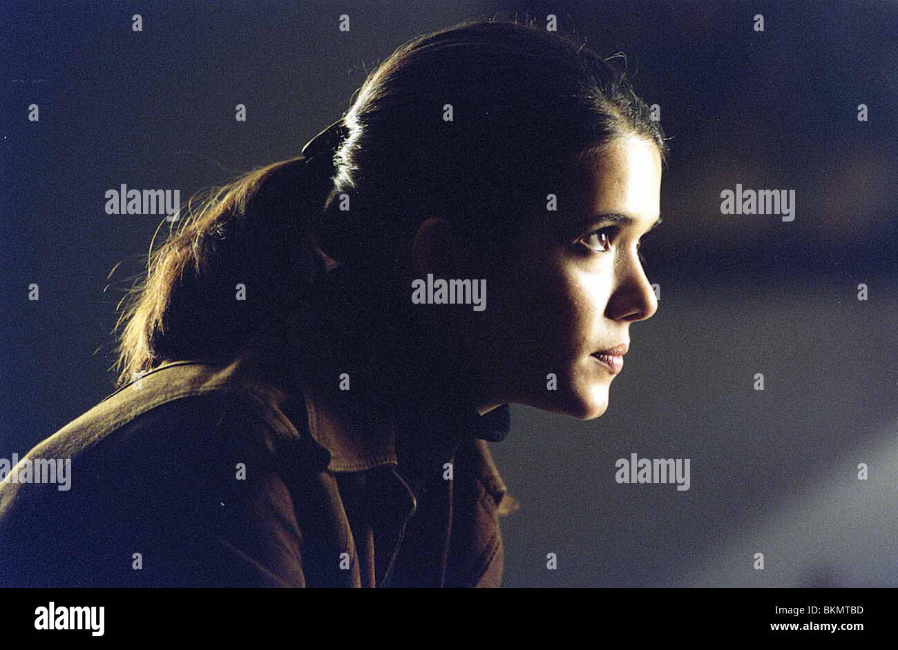 Lobo wolf hi-res stock photography and images - Alamy