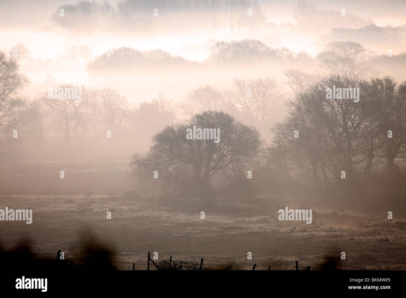 Covered with mist hi-res stock photography and images - Alamy