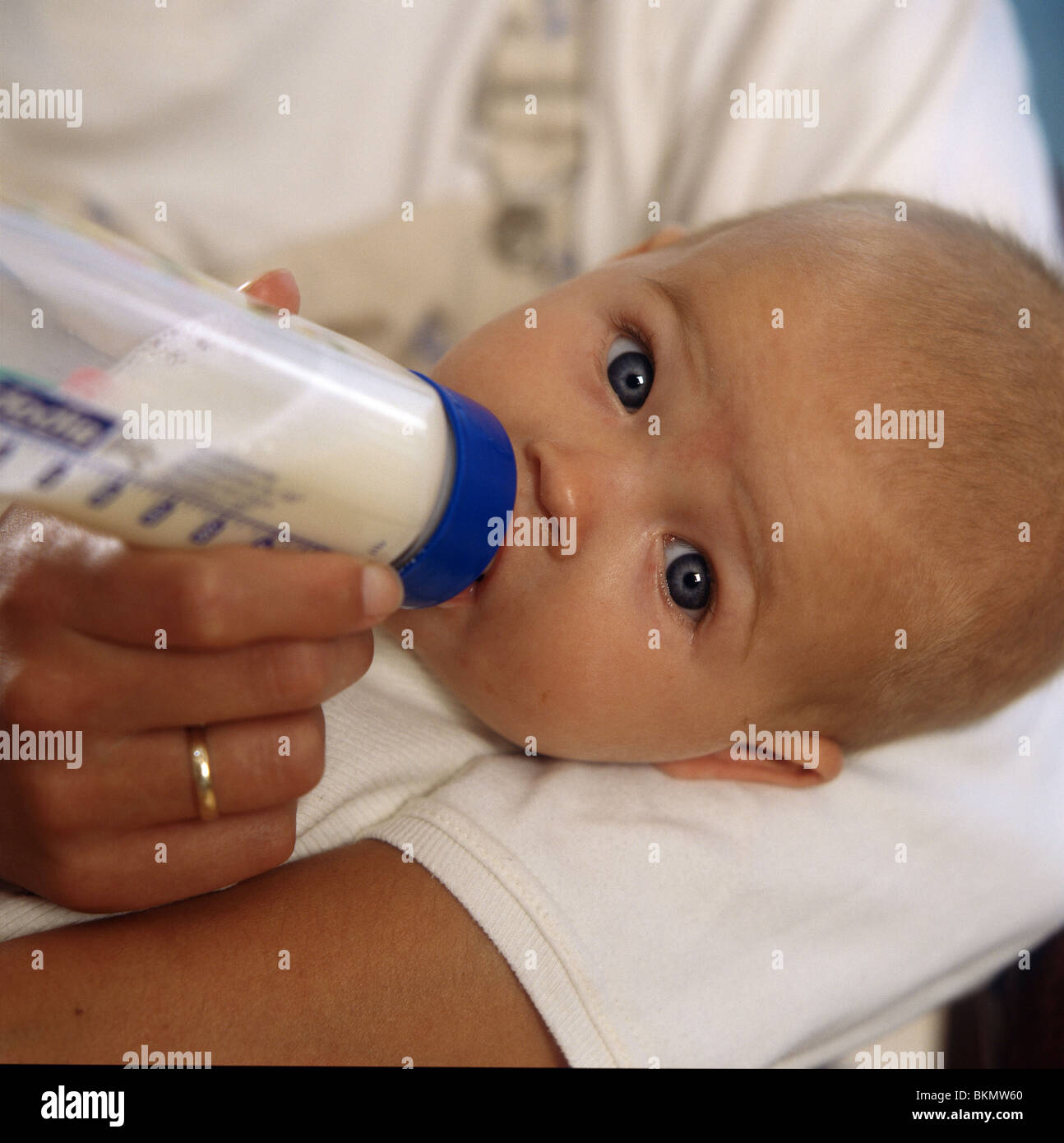 Mum and baby animal hi-res stock photography and images - Alamy