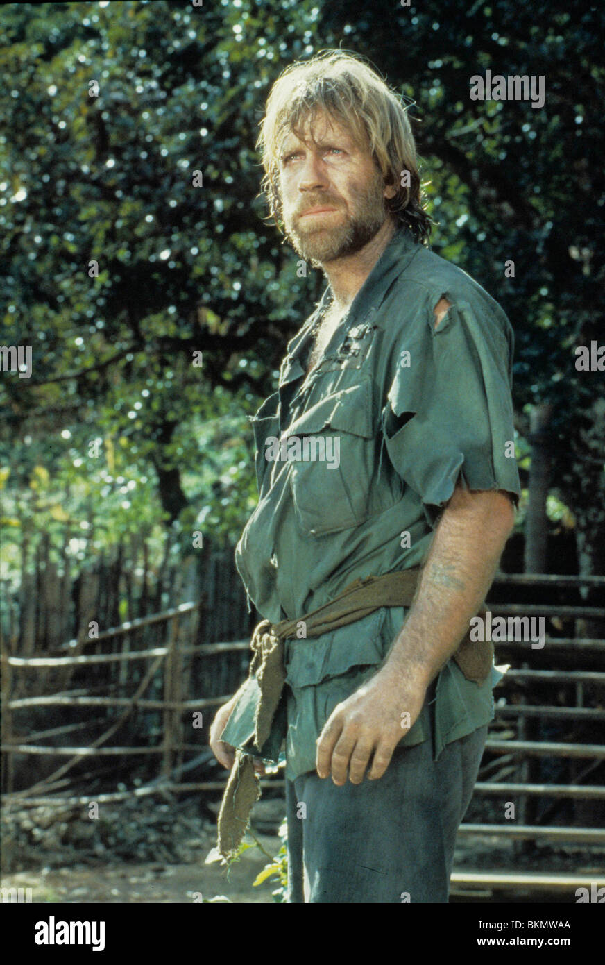 MISSING IN ACTION 2: THE BEGINNING (1985) CHUCK NORRIS MSIA 008 Stock ...