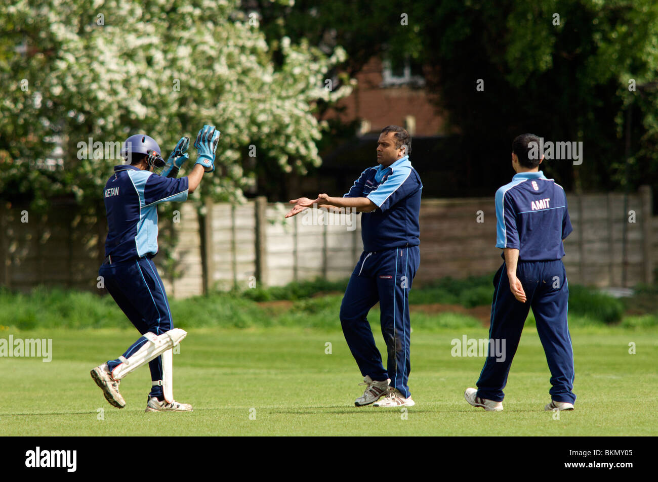Cricketers celebrate hi-res stock photography and images - Alamy