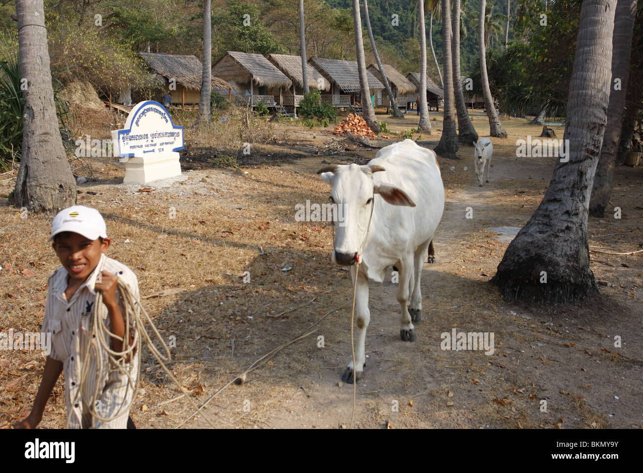 Rabbit Island, also known as Ko Tonsay, off the southeastern coast of ...
