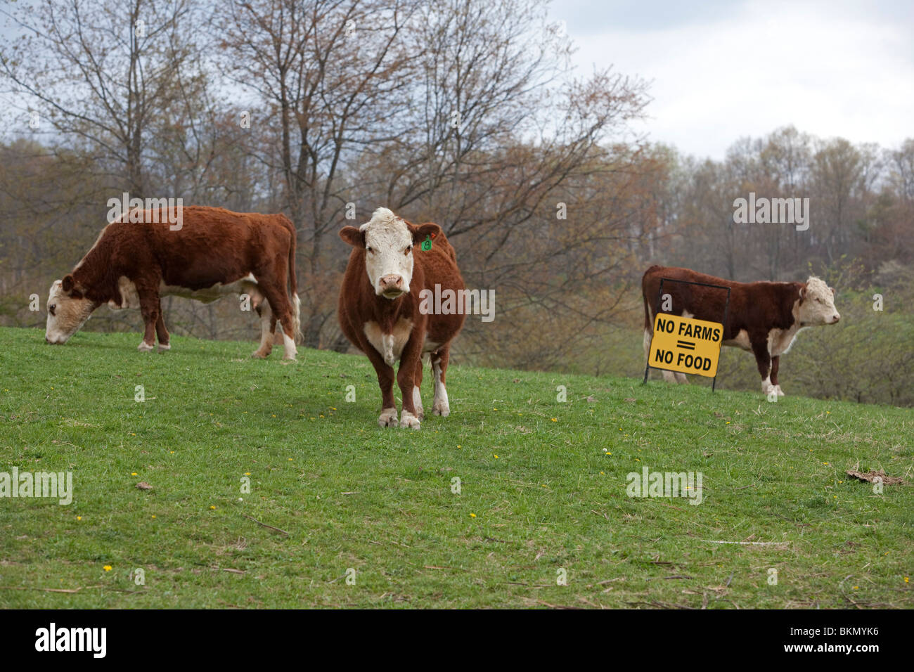 Dameron, West Virginia - A sign in a pasture on a small West Virginia ...