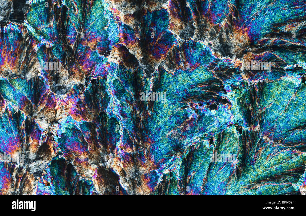 Geological microscope slide hi-res stock photography and images - Alamy
