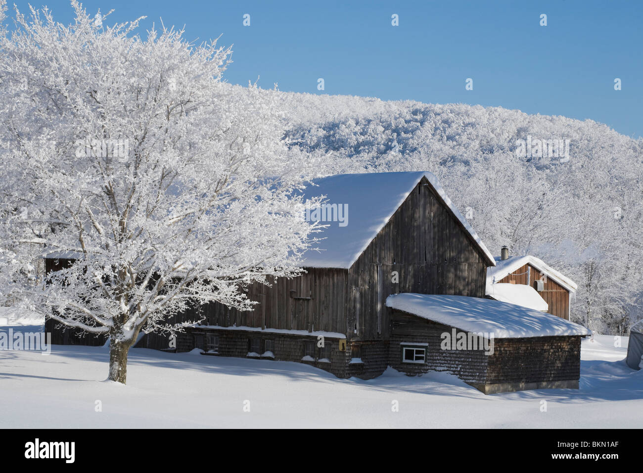 A House In Winter Stock Photo - Alamy