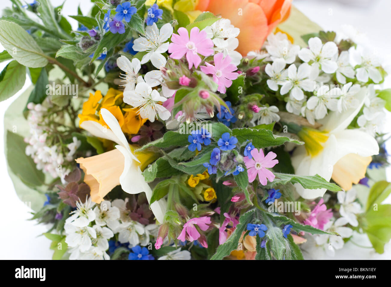 Bunch of English spring flowers Stock Photo - Alamy