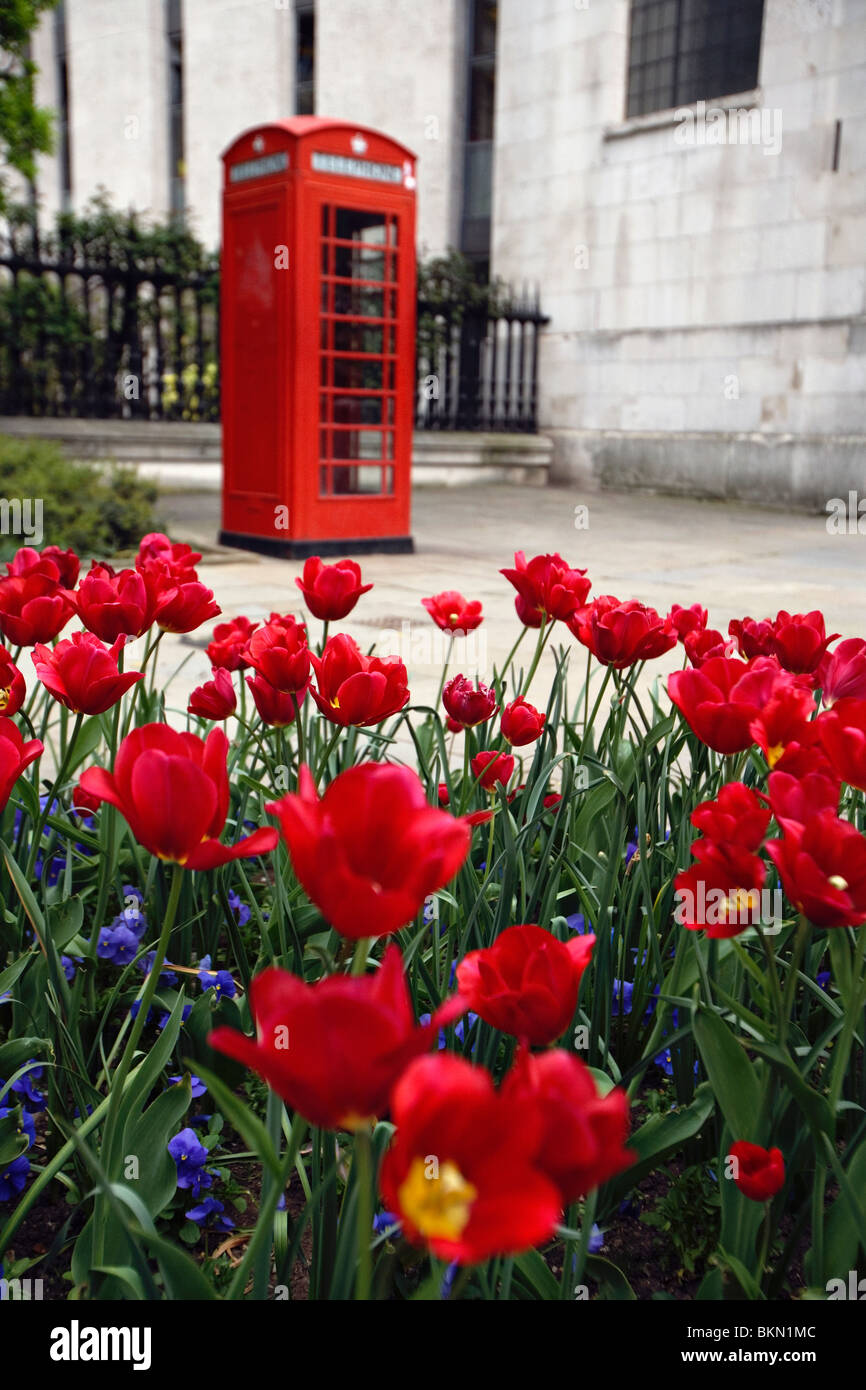 a red telephone box in london Stock Photo - Alamy