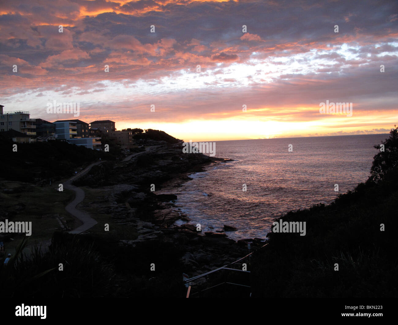 The view overlooking Clovelly beach in Sydney Stock Photo - Alamy