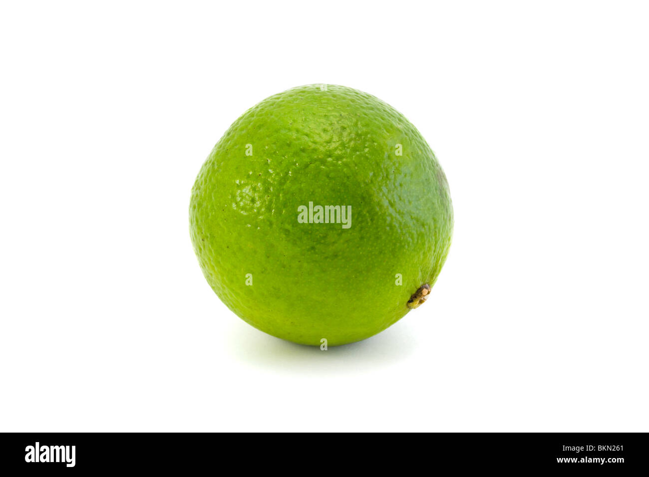 single lime isolated on a white background Stock Photo - Alamy