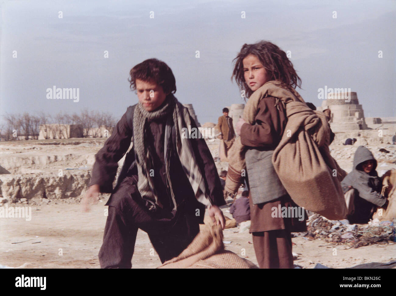 SAG-HAYE VELGARD (2004) STRAY DOGS (ALT) SAGH 001-01 Stock Photo - Alamy