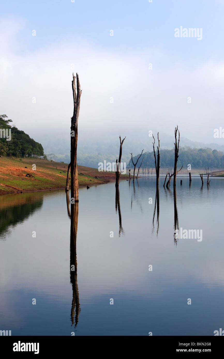 Periyar Lake Reserve in mumnar Kerala state india Stock Photo - Alamy