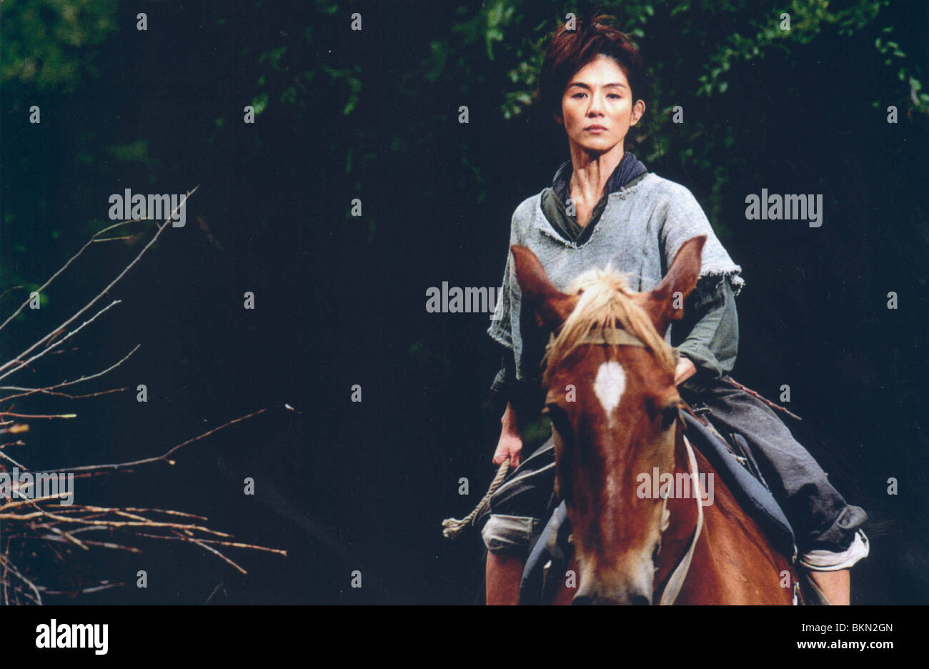 SEVEN SWORDS (2005) QI JIAN (ALT) CHARLIE YEUNG SSWD 001-02 Stock Photo ...
