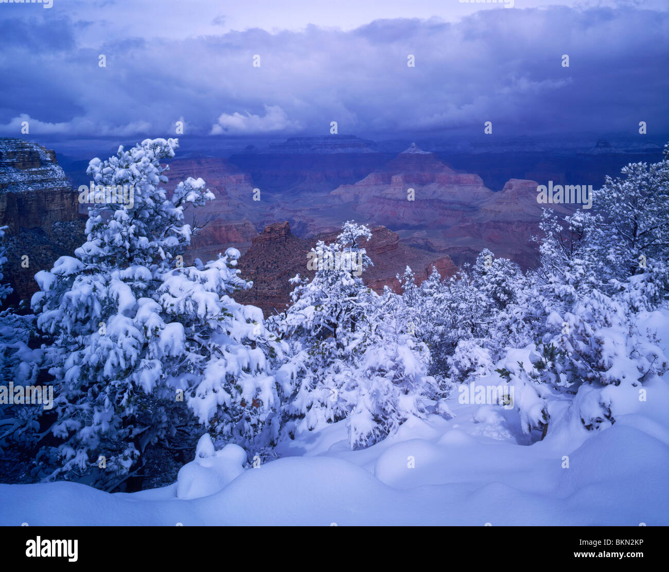 Snowfall on South Rim Grand Canyon Arizona USA Stock Photo - Alamy