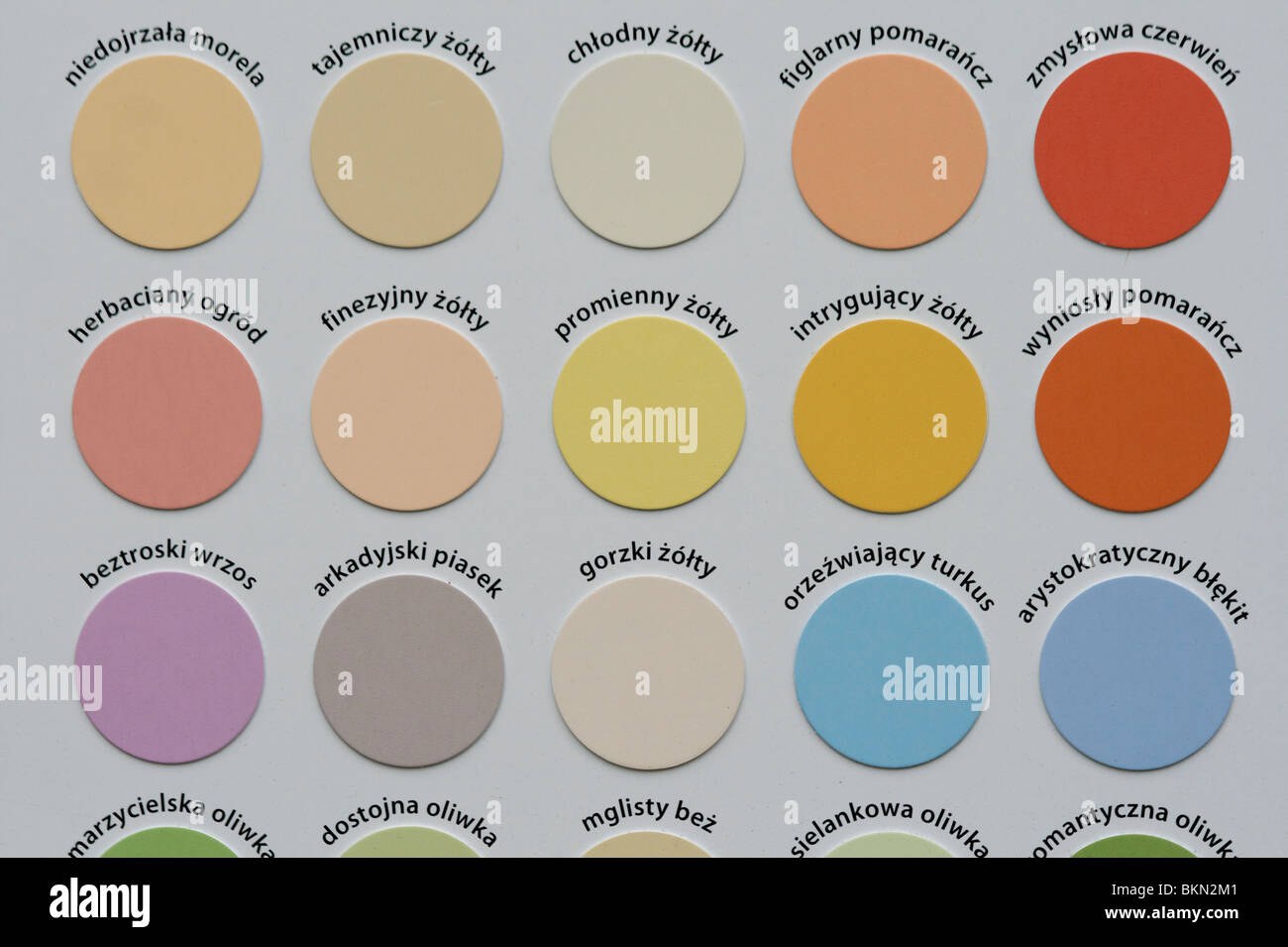 Multi coloured Polish paint chart with Polish names Stock Photo - Alamy