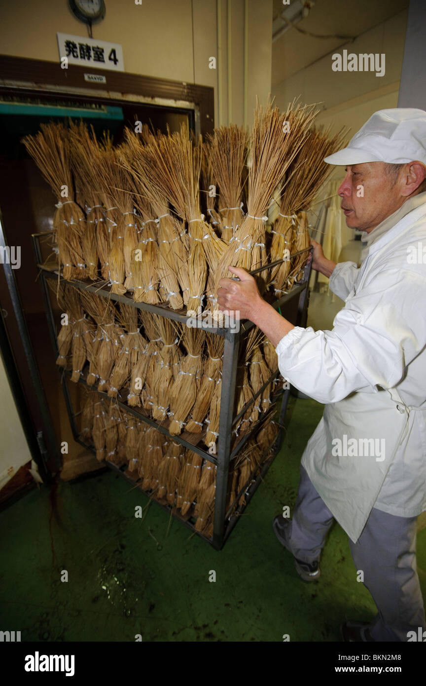 Removing straw wrapped natto from the fermenting room, Mito Tengu Natto ...