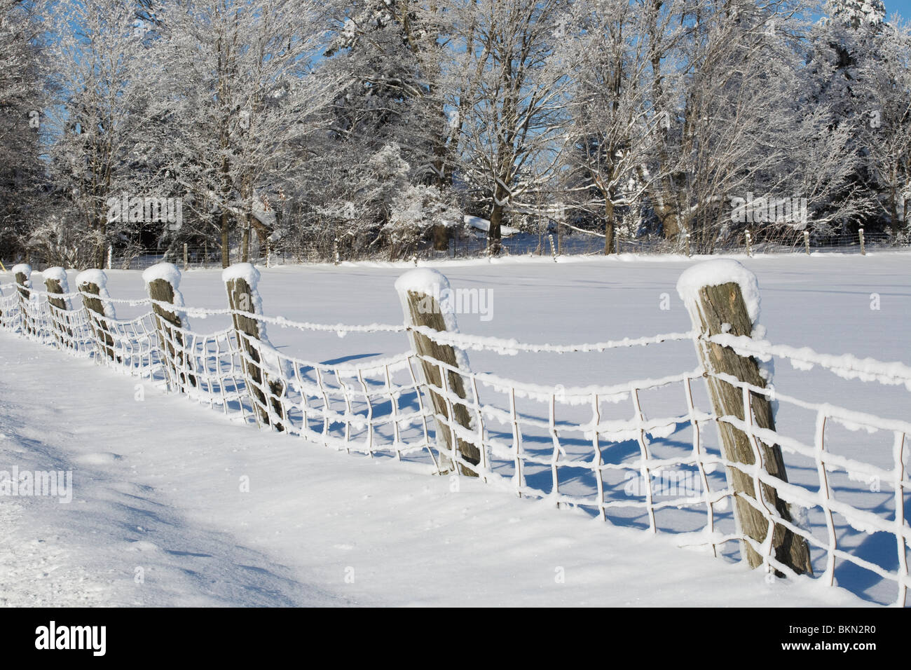 A Fence And Field Covered In Snow Stock Photo - Alamy