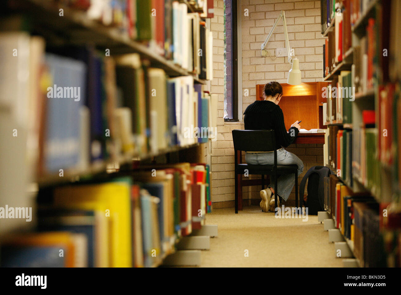 Female student studying in a university library Stock Photo - Alamy