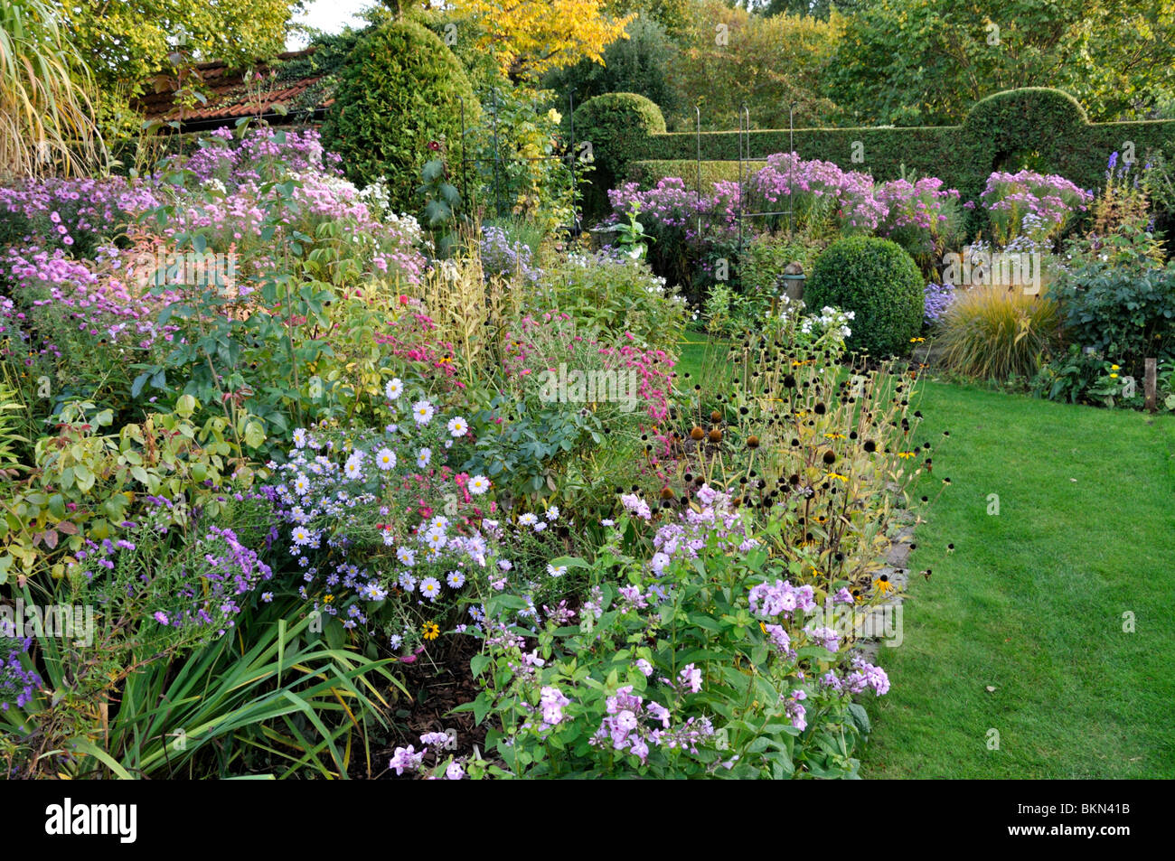 Autumnal garden with asters (Aster). Design: Marianne and Detlef Lüdke ...
