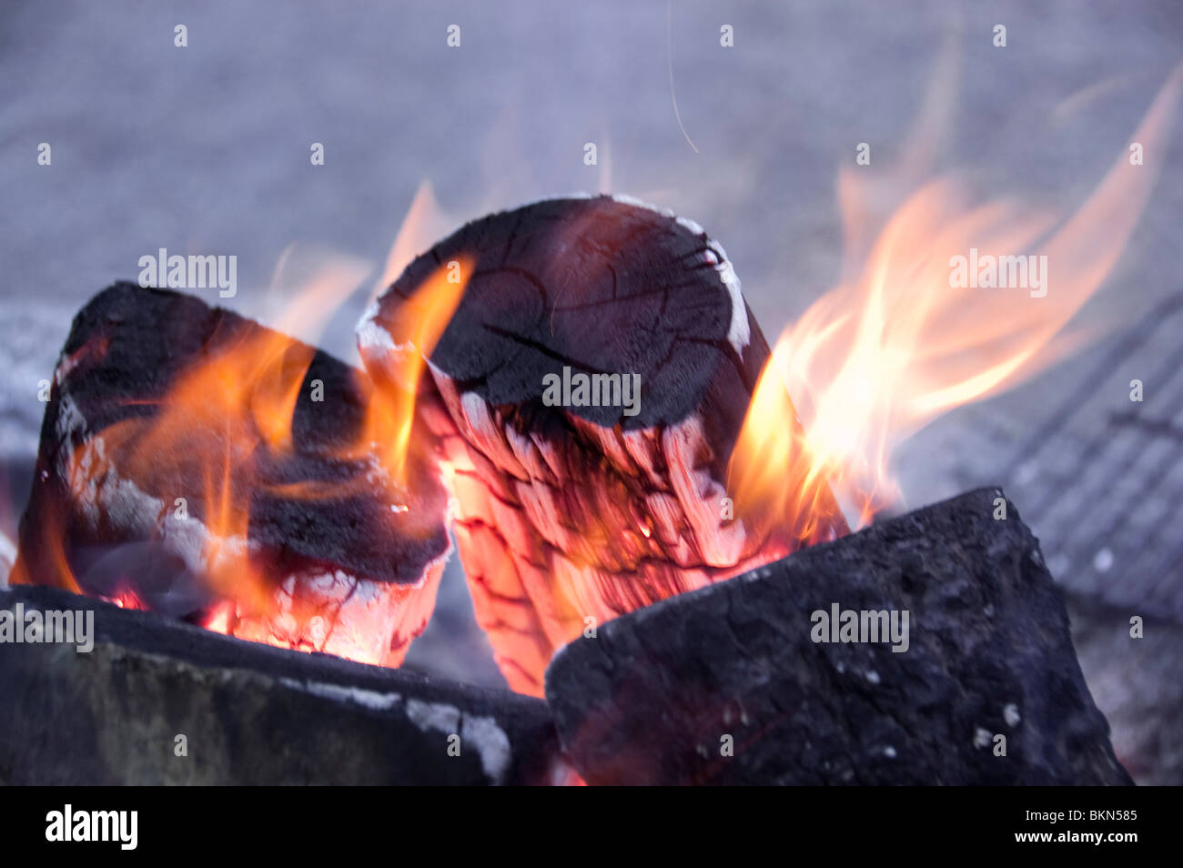 A burning fire in a fire pit Stock Photo - Alamy