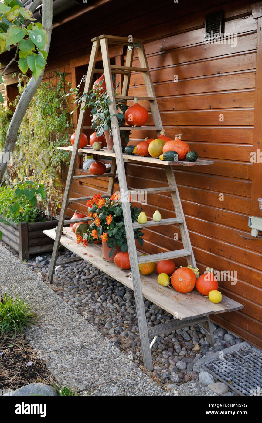 Etagere with pumpkins. Design: Marianne and Detlef Lüdke Stock Photo ...