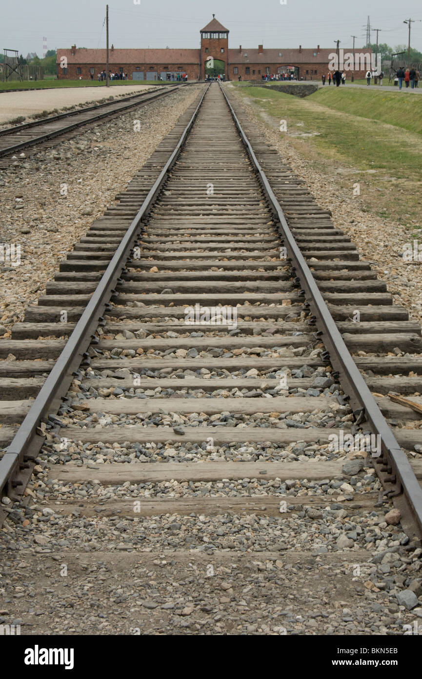 Railway tracks from Auschwitz 2 (Birkenau) concentration camp leading ...