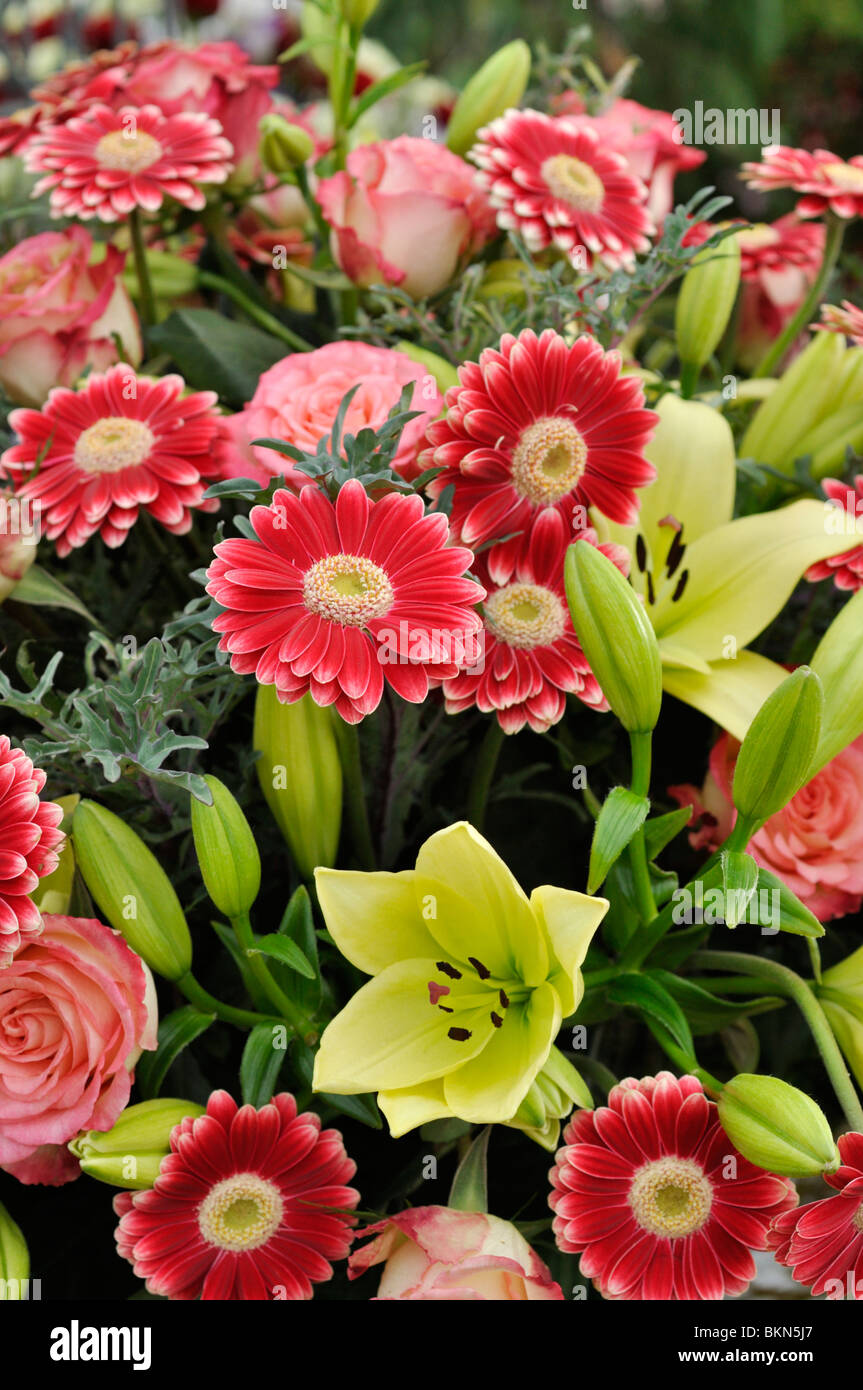 Gerbera and lily (Lilium Stock Photo - Alamy