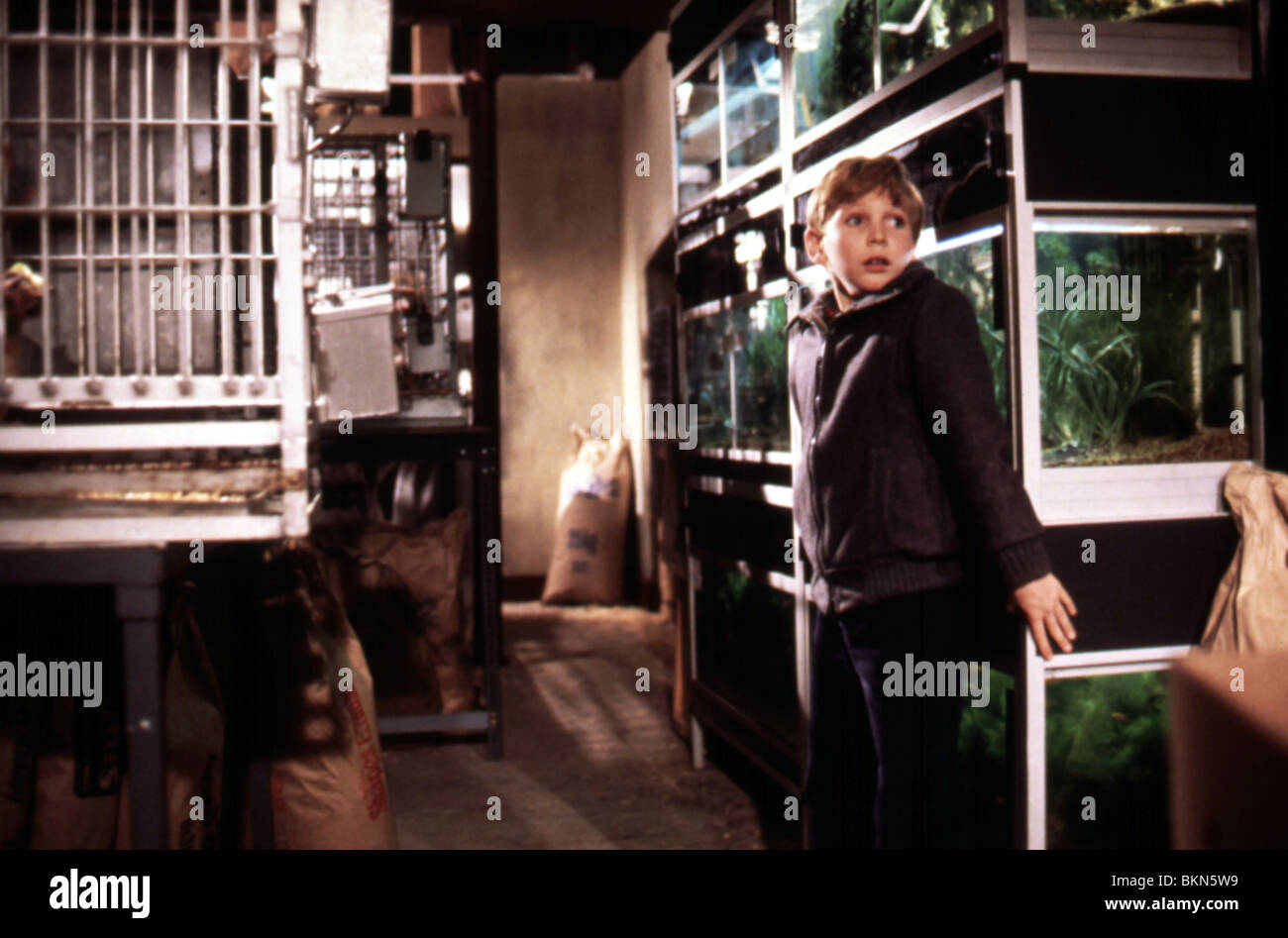 VENOM -1981 Stock Photo - Alamy