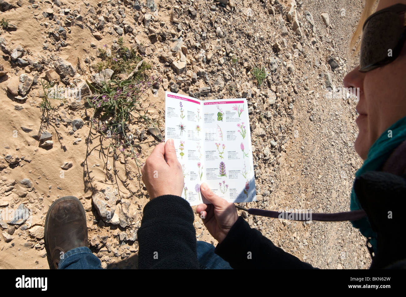 Botanist at Work Stock Photo - Alamy