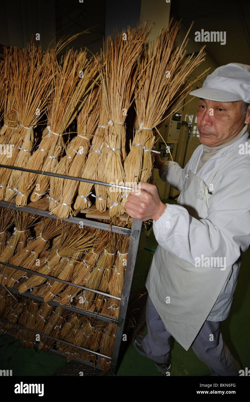 Removing straw wrapped natto from the fermenting room, Mito Tengu Natto ...