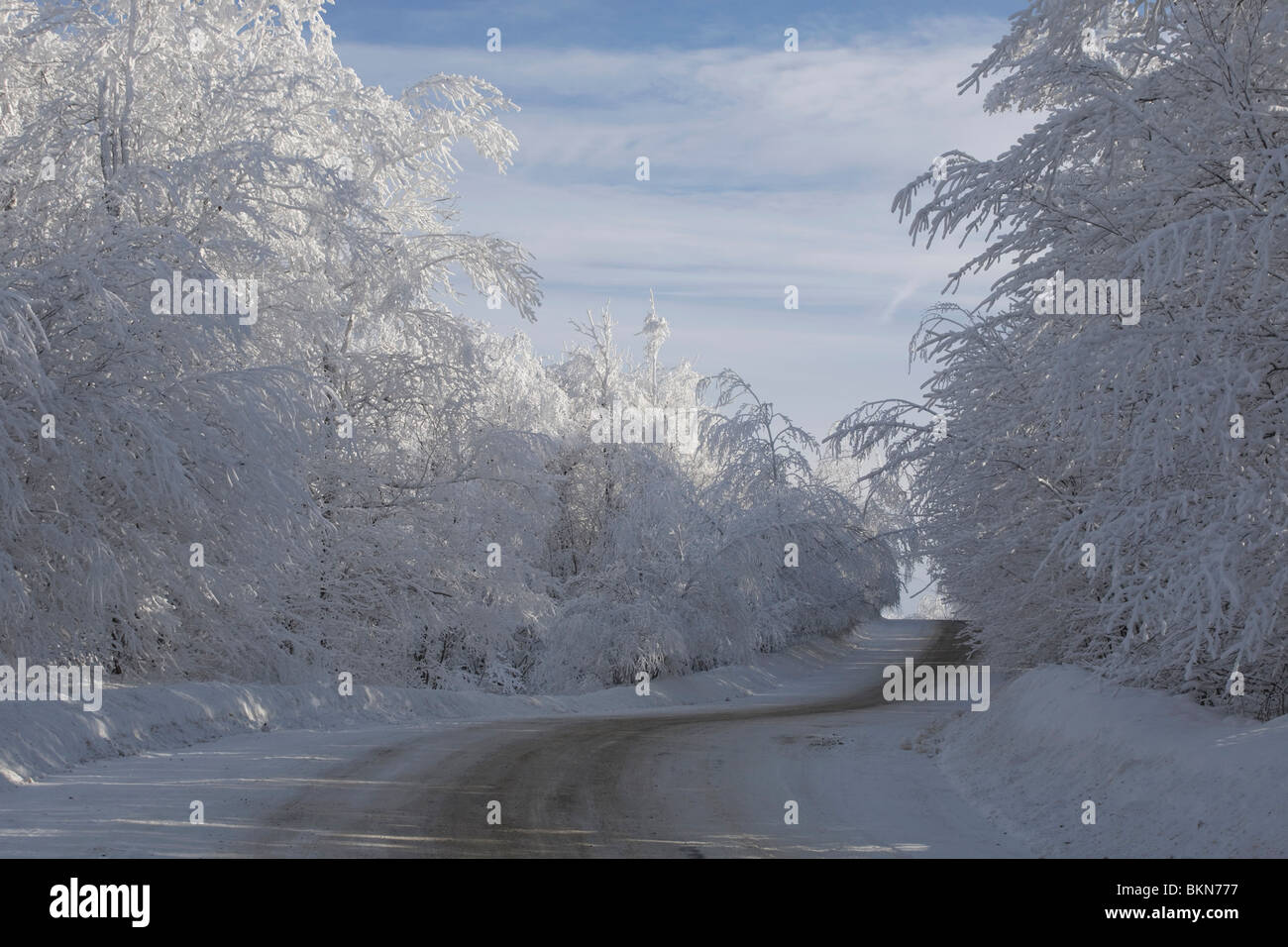 A Road Running Between Snow-Covered Trees Stock Photo - Alamy