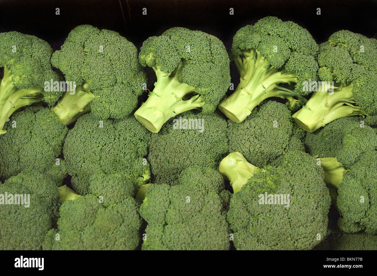 Broccoli buds hi-res stock photography and images - Alamy