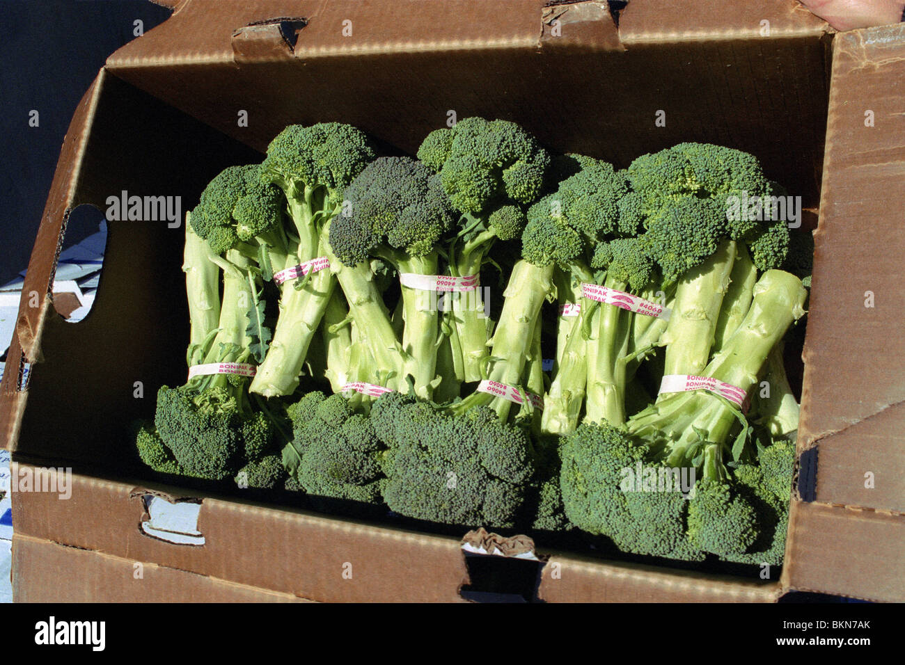 Broccoli buds hi-res stock photography and images - Alamy