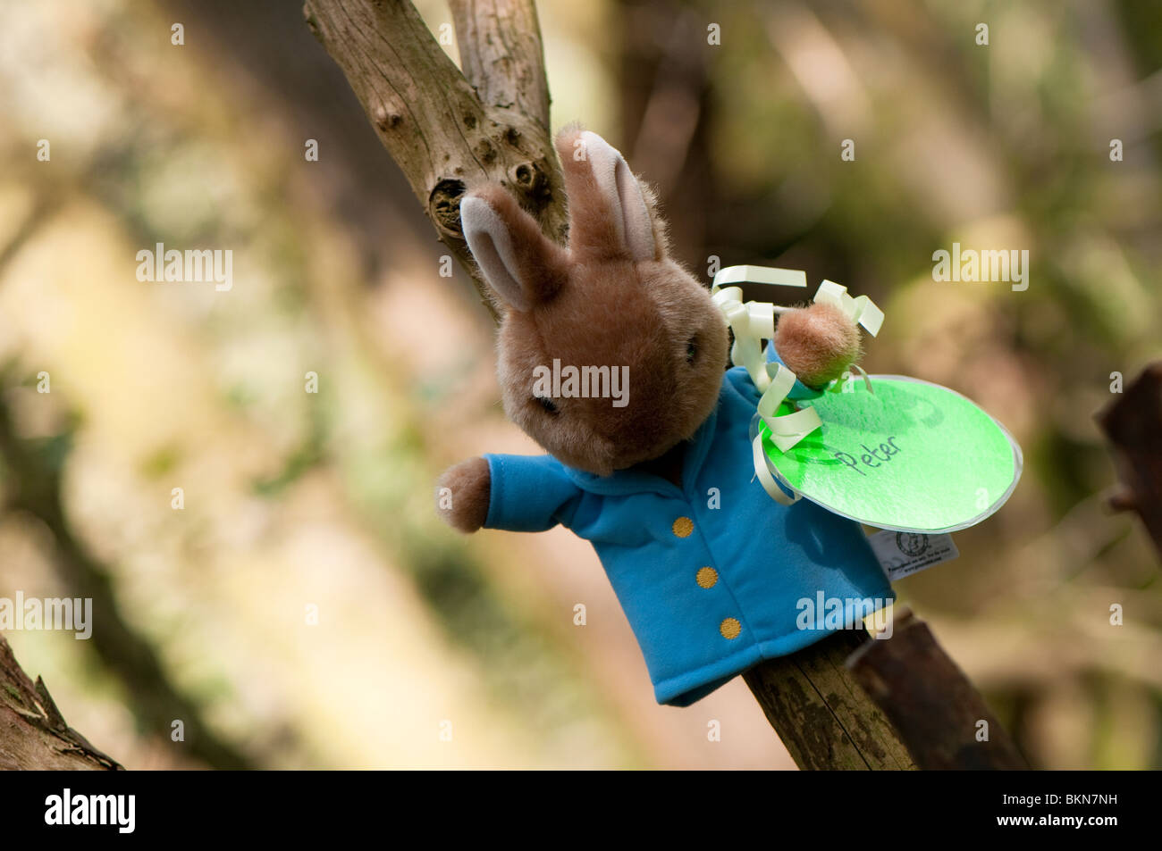 Peter rabbit easter hi-res stock photography and images - Alamy