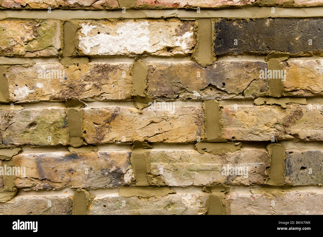 A brick wall being re-pointed / pointing a wall Stock Photo - Alamy