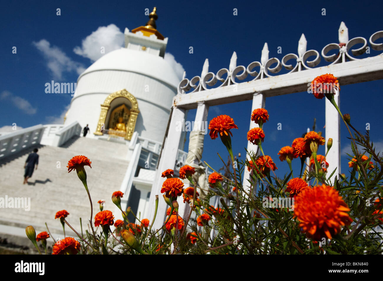 Peace stupa of nepal hi-res stock photography and images - Alamy