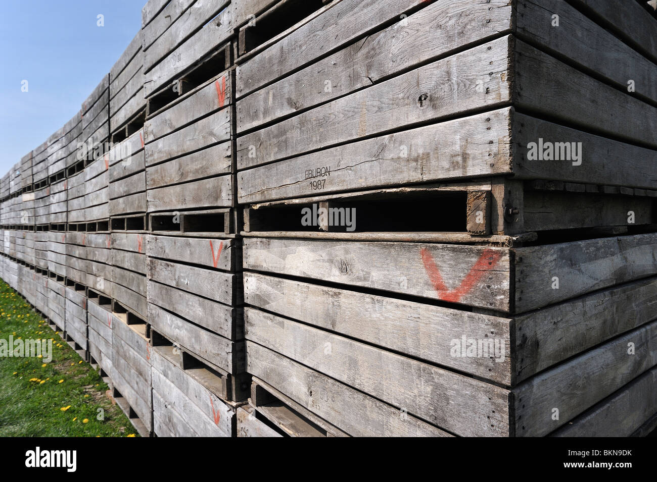 Piled up wooden crates for harvested fruit in orchard, Haspengouw ...