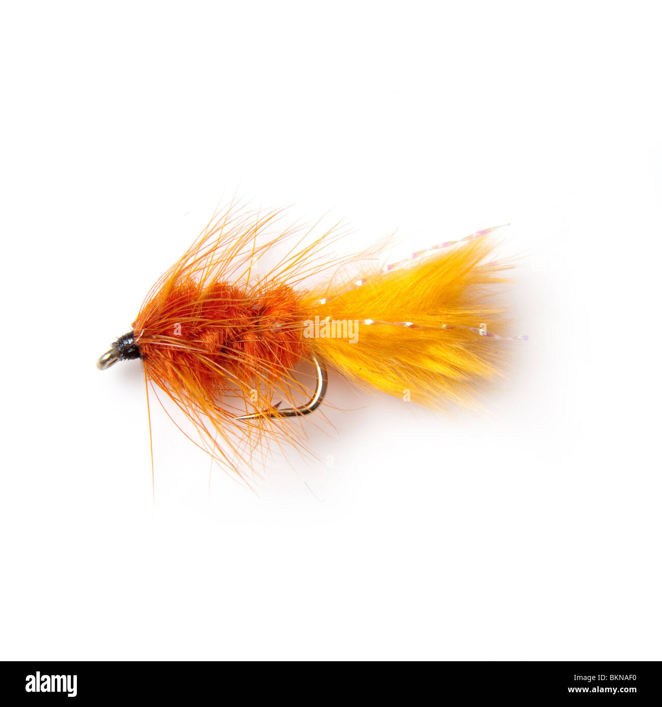 Tadpole trout fly hi-res stock photography and images - Alamy