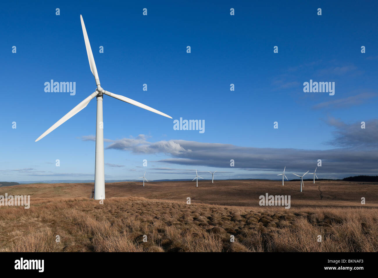 Carno wind farm hi-res stock photography and images - Alamy