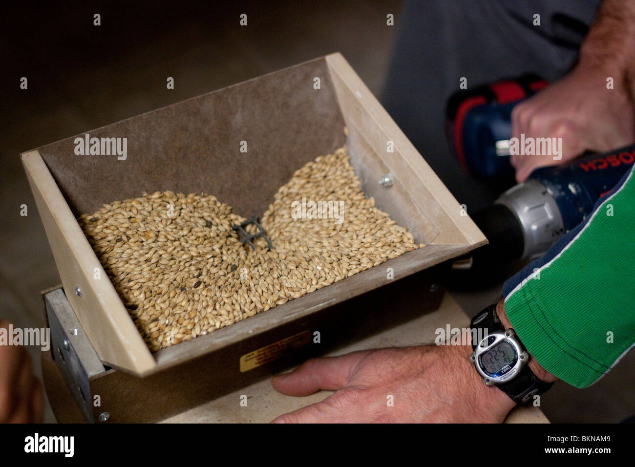 Malted Barley is milled prior to home beer brewing Stock Photo - Alamy