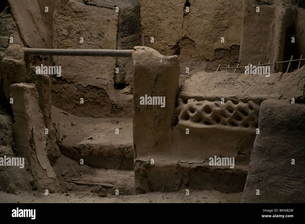 The ruins of a pre-Columbian Maya farming village, preserved under ...