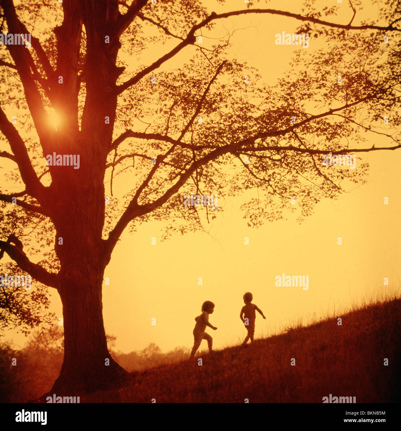 Silhouette of two kids in the field as the sun sets behind them Stock ...